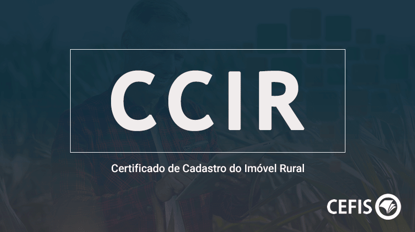 CCIR: Certificado de Cadastro do Imóvel Rural – Conteúdo Contábil ...
